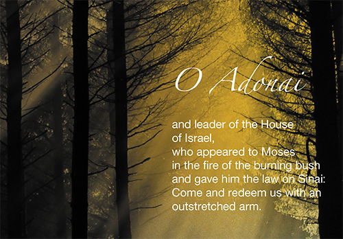 Adonai Quotes