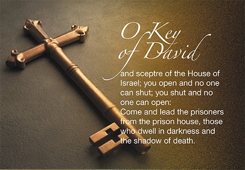 Christmas Novena. Day 5, 20th December – Missionaries of Divine Revelation